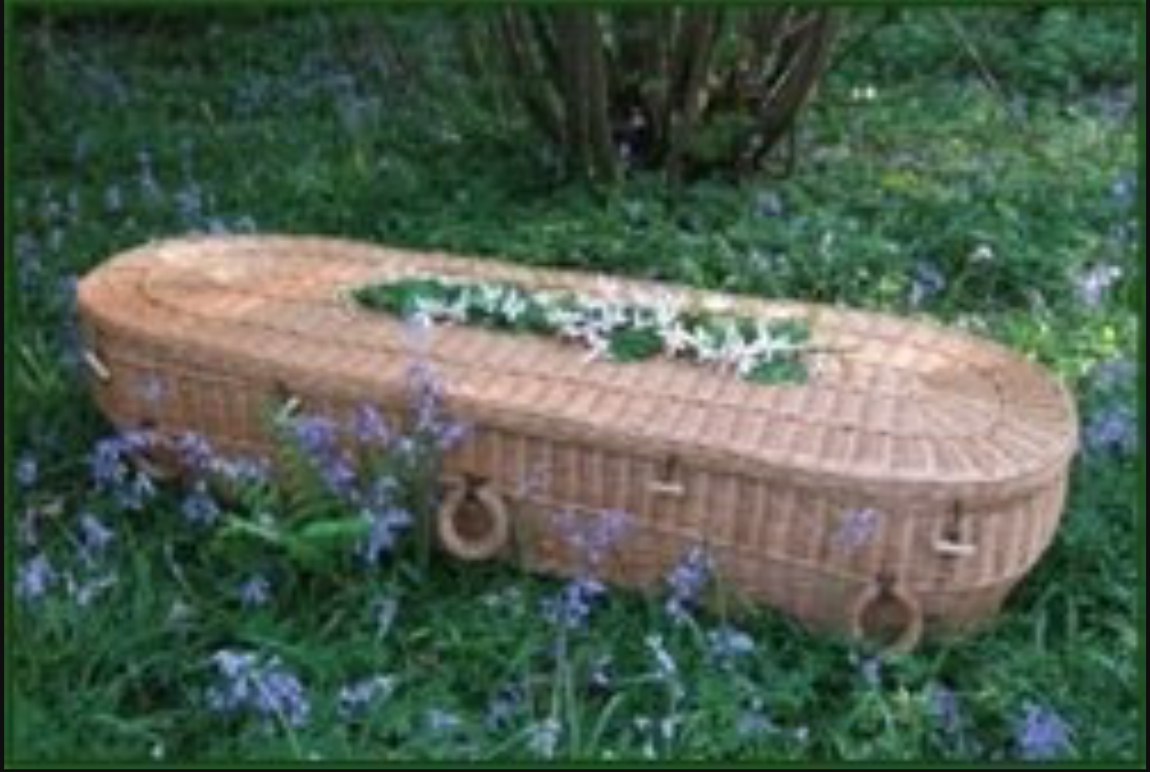 Biodegradable till I die! | GREEN HOME